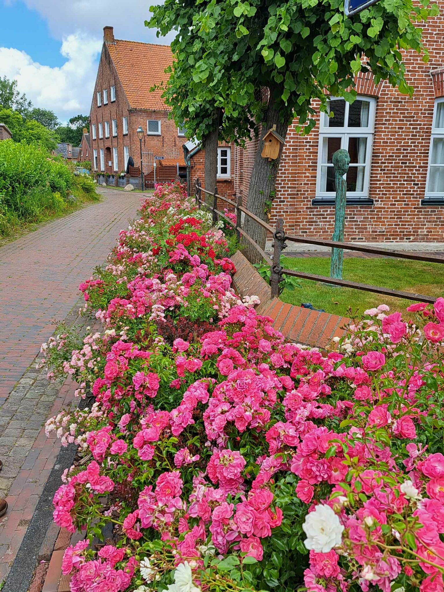 Warften? Was sind die besonderen Hügel der Nordsee