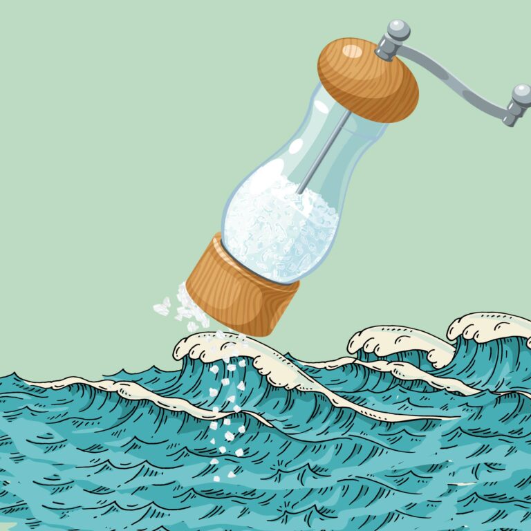 Warften? Was sind die besonderen Hügel der Nordsee